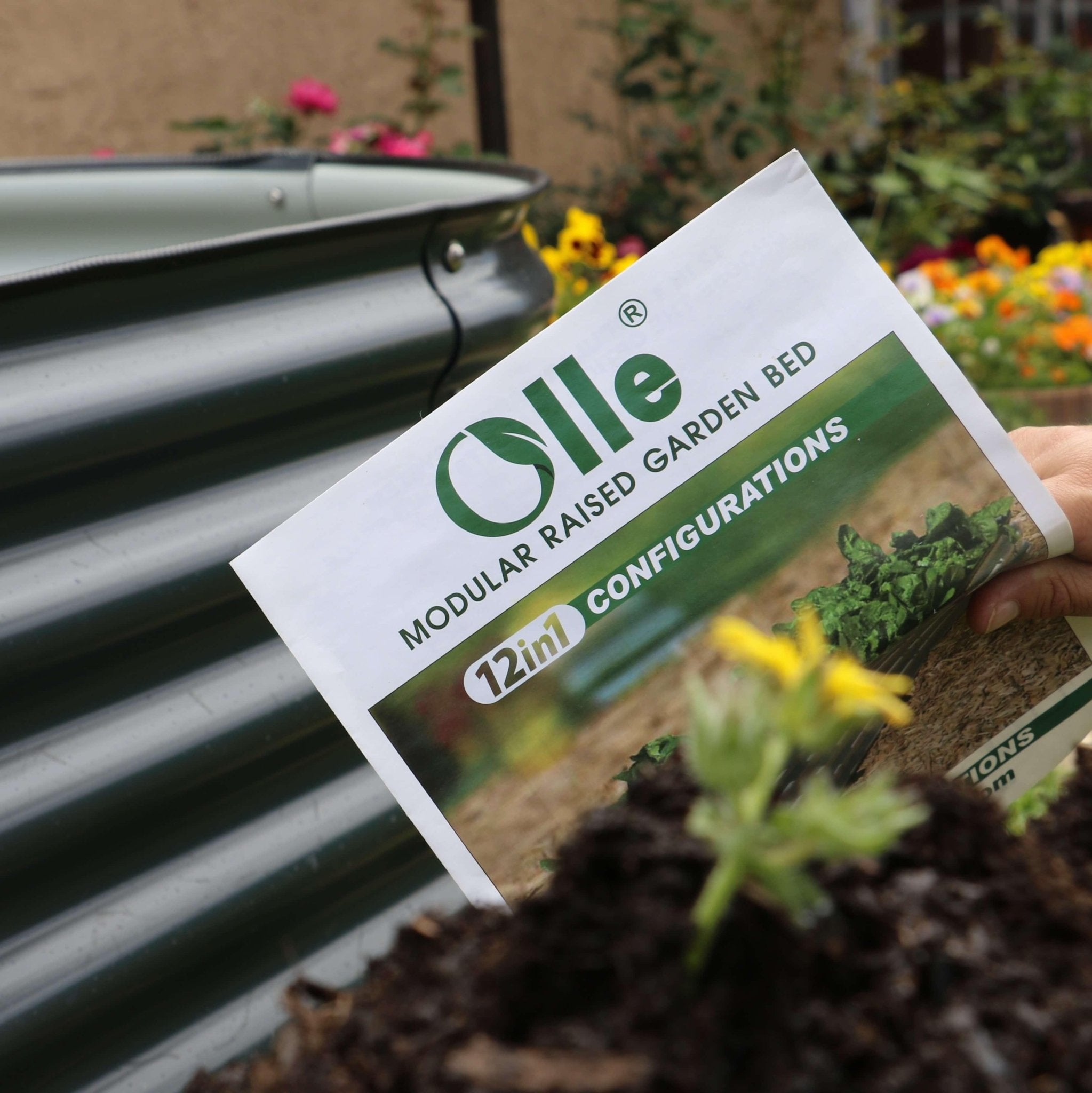 Knowledge from Olle Garden Bed : 10 Signs of Plant Too Cold ...