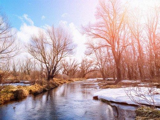 Seize the Thaw: Your Garden's Springboard with the Perfect Raised Bed ...