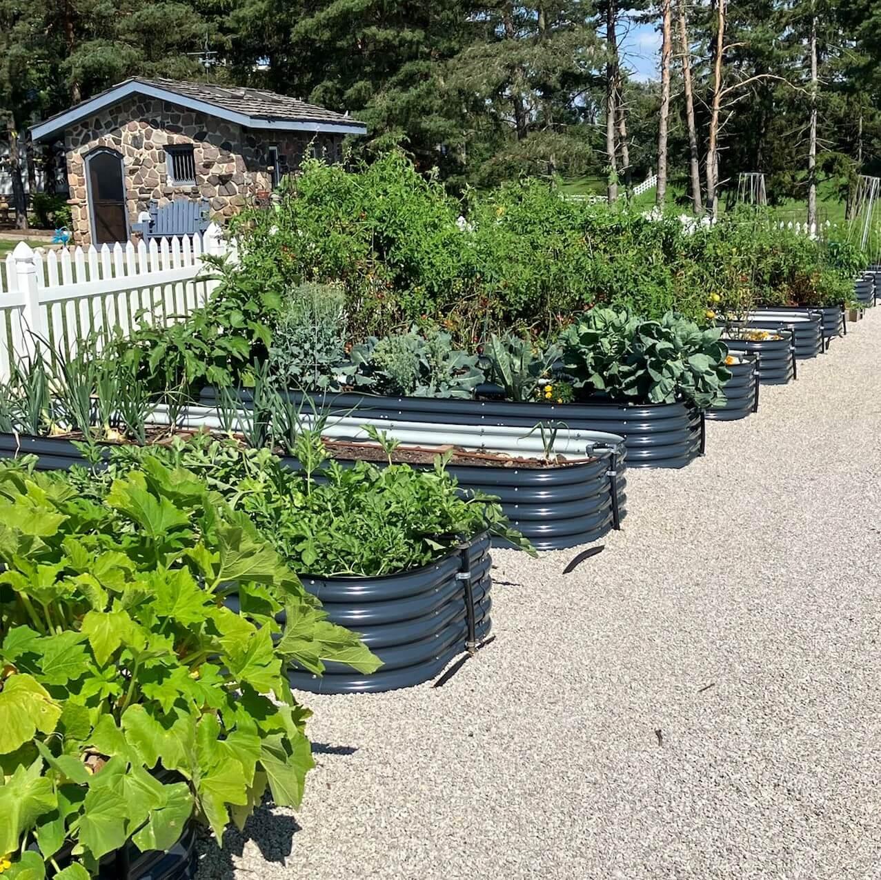 The Application of Raised Garden Beds in Commercial Horticulture ...